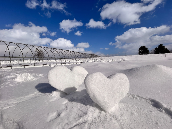 Authentic Furano Winter Farm & Snow Experiences | Guided Local Tours in ...